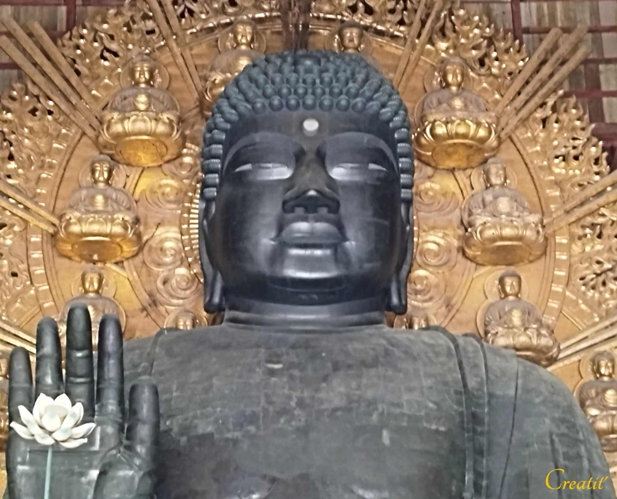 [projet 52-2025] semaine 52 – Mon année en une photo | Creatit'